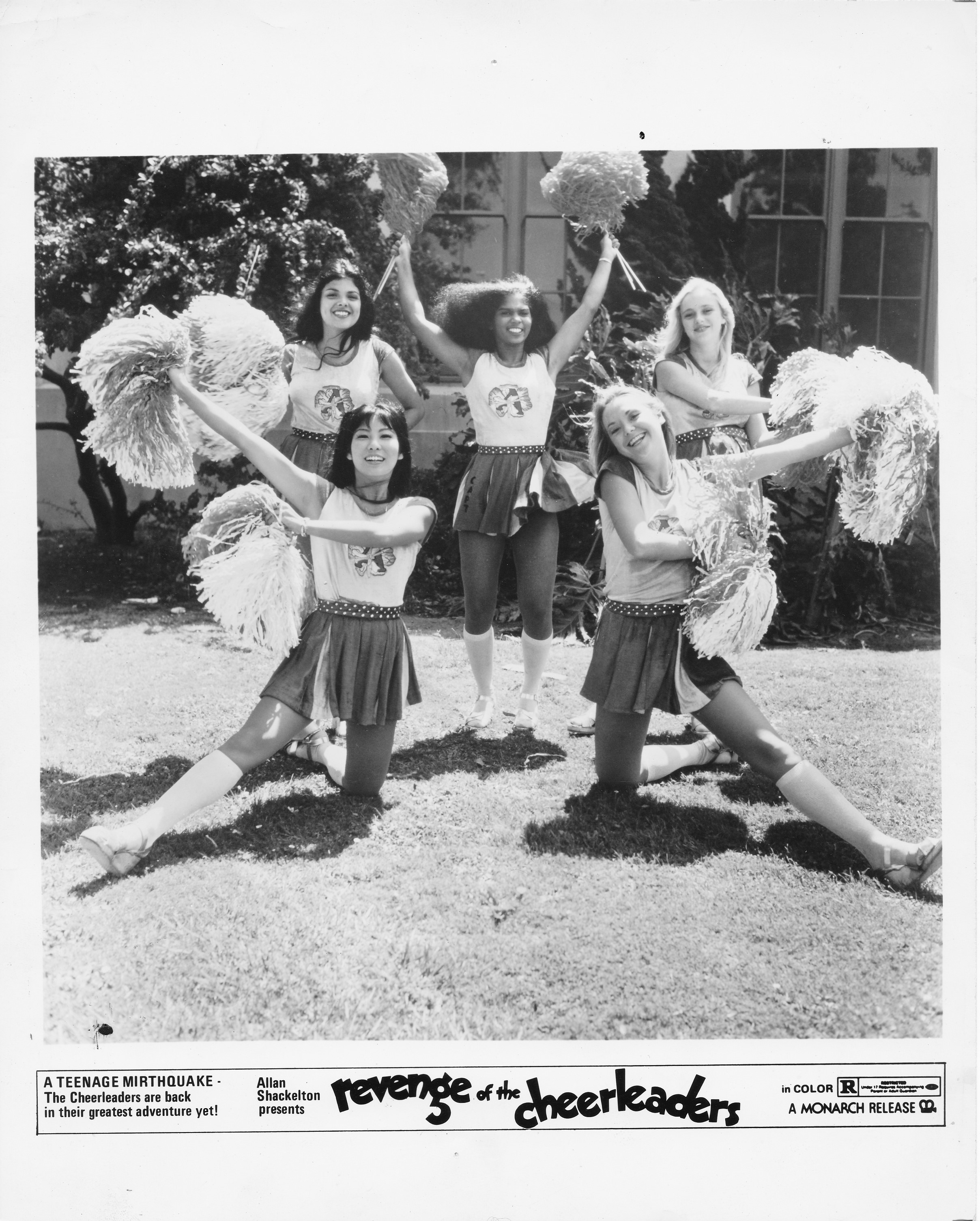 Revenge Of The Cheerleaders Flip Screen